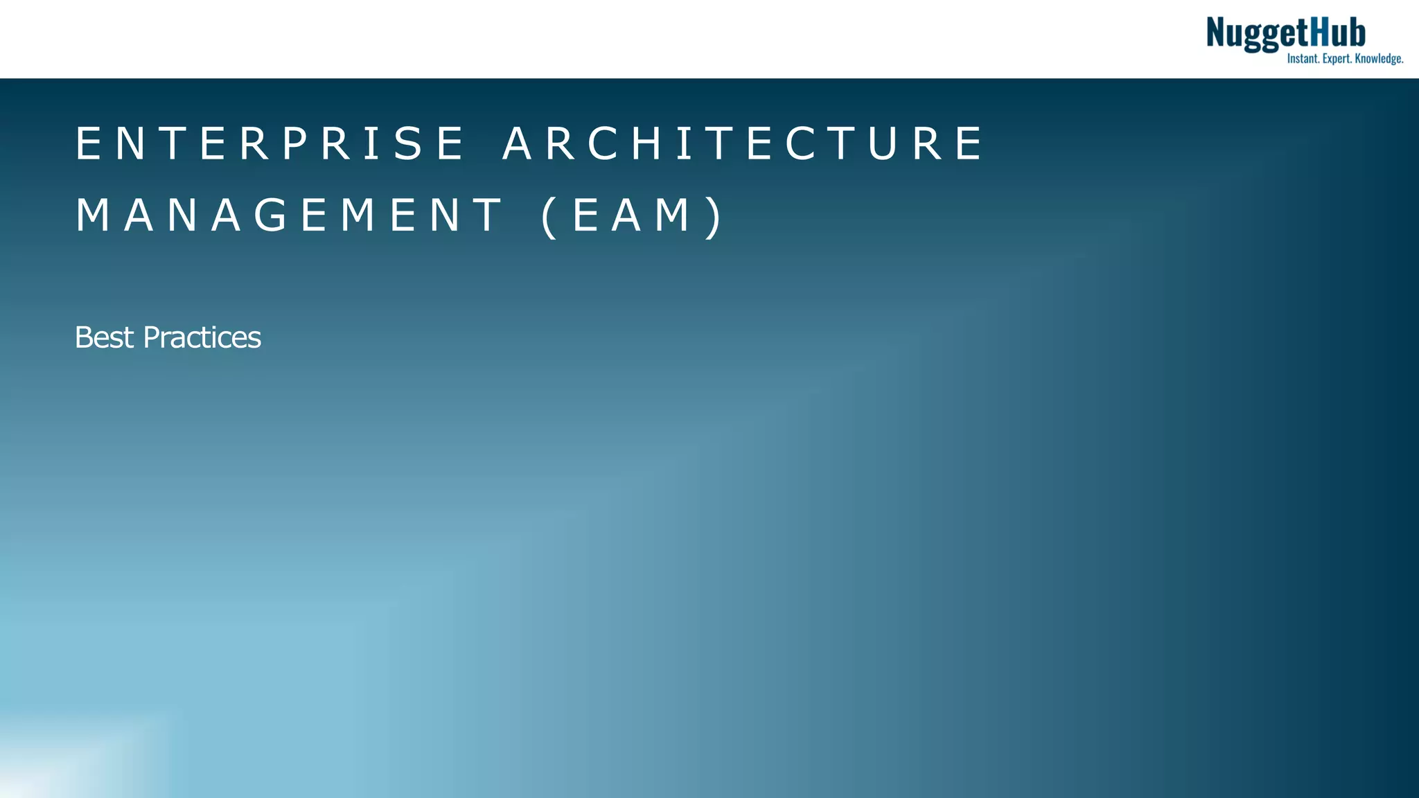 Enterprise Architecture Management (EAM) I Best Practices I NuggetHub | PDF