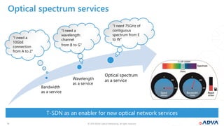 Why should higher-layer applications care about software-defined optics ...