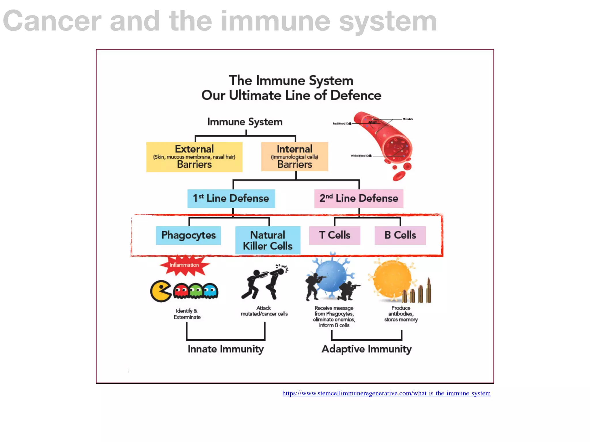 Tumor Immunology and Cancer Immunotherapy | PDF