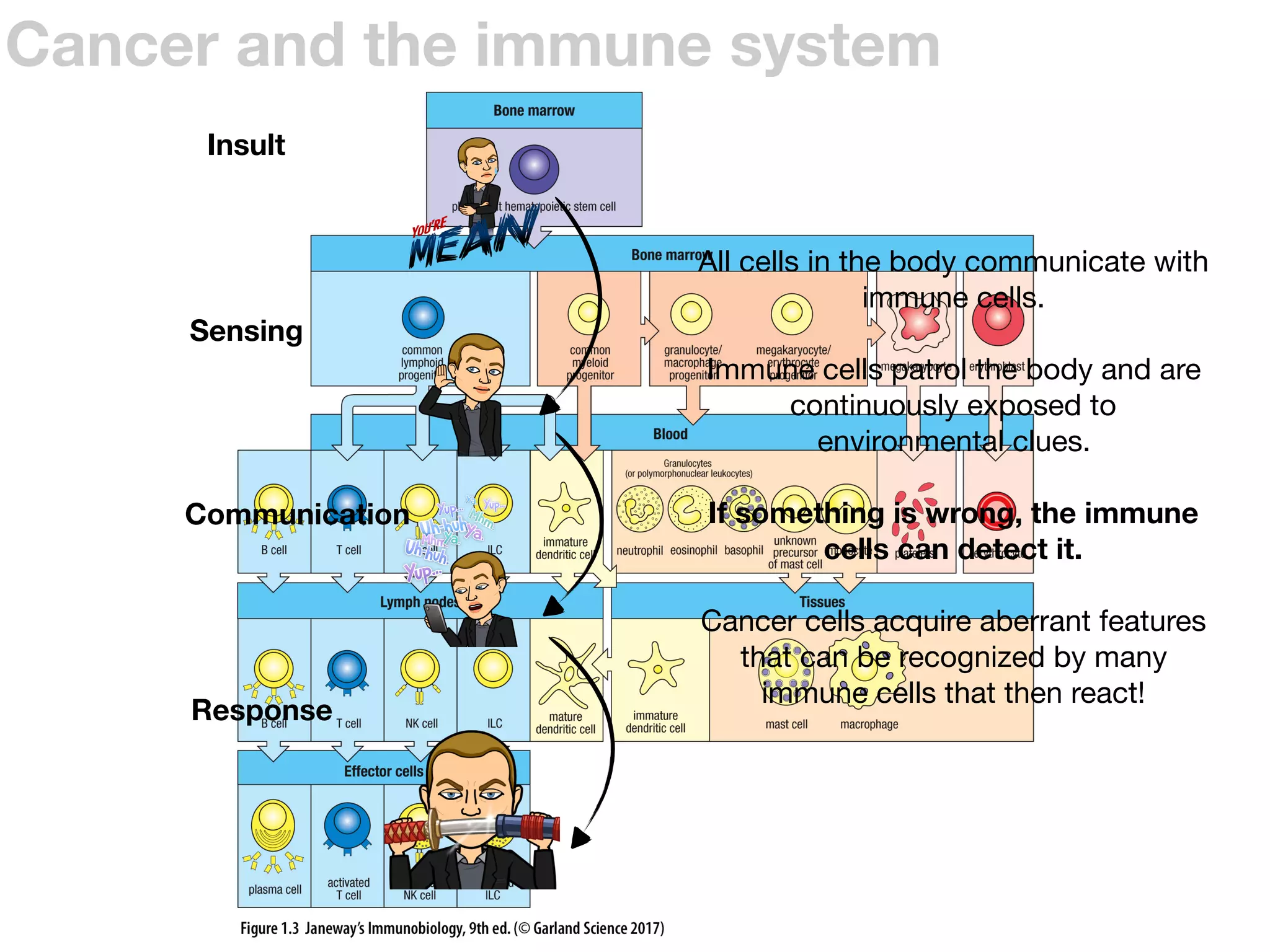 Tumor Immunology and Cancer Immunotherapy | PDF
