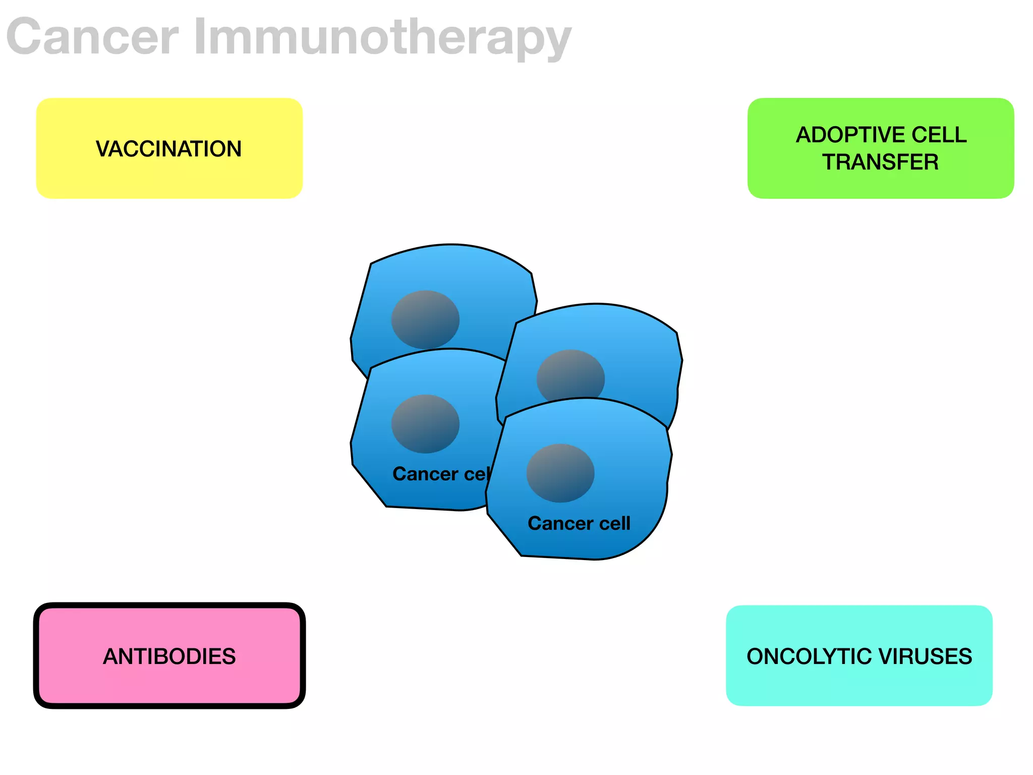 Tumor Immunology And Cancer Immunotherapy Pdf