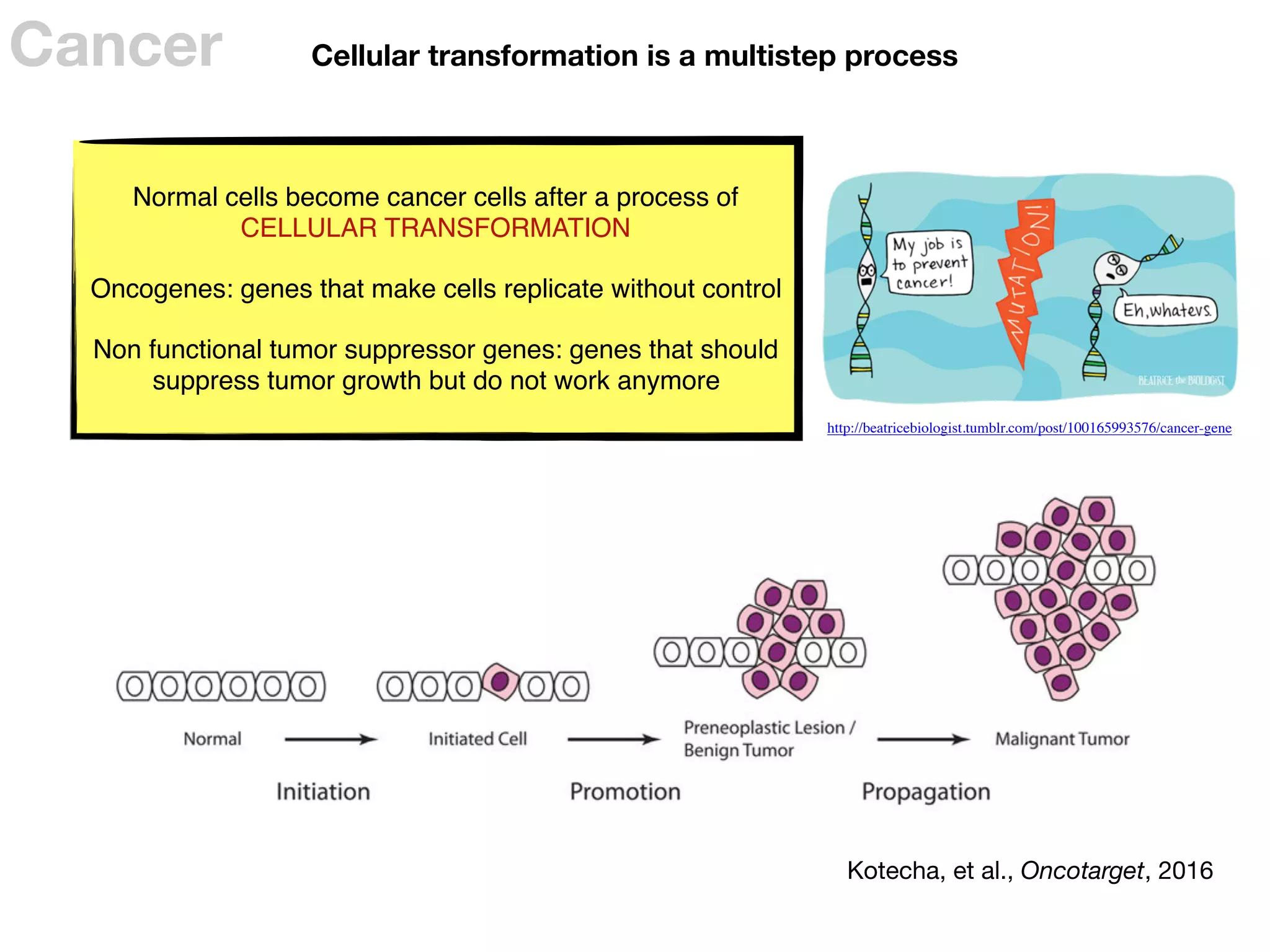 Tumor Immunology and Cancer Immunotherapy | PDF
