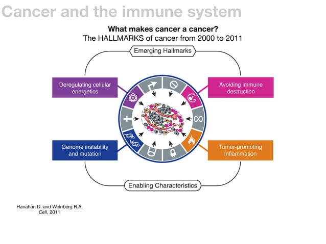 Tumor Immunology and Cancer Immunotherapy | PDF | Cancer | Diseases and ...