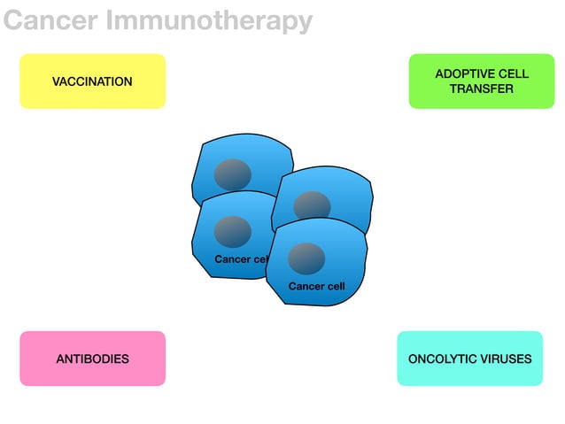 Tumor Immunology and Cancer Immunotherapy | PDF | Cancer | Diseases and ...