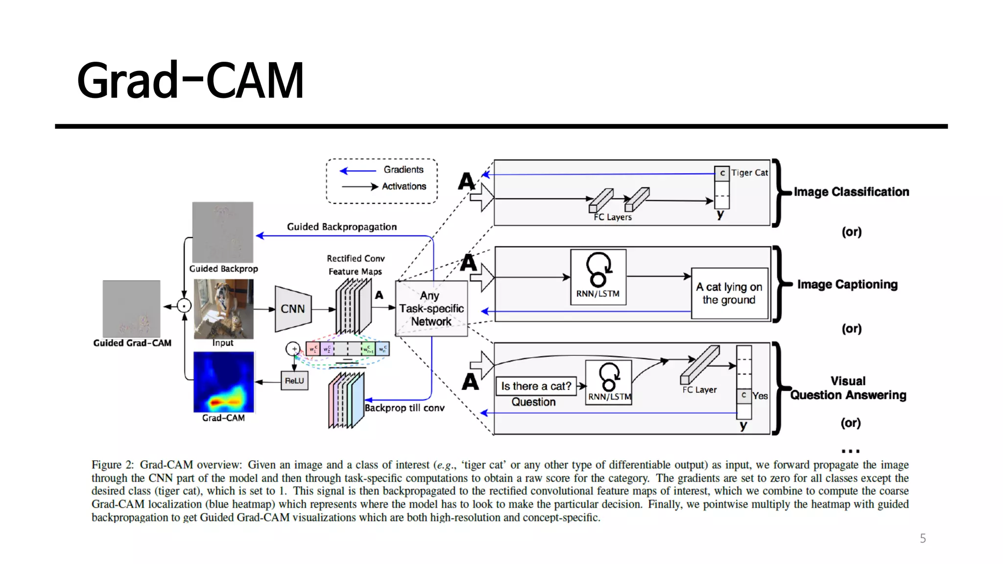 Grad Cam Visual Explanations From Deep Networks Via Gradient Based