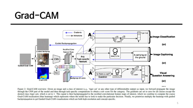 Grad Cam Visual Explanations From Deep Networks Via Gradient Based 