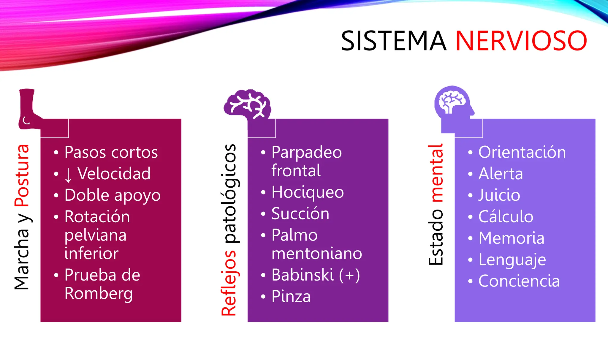 Examen físico del geronte o adulto mayor | PPTX