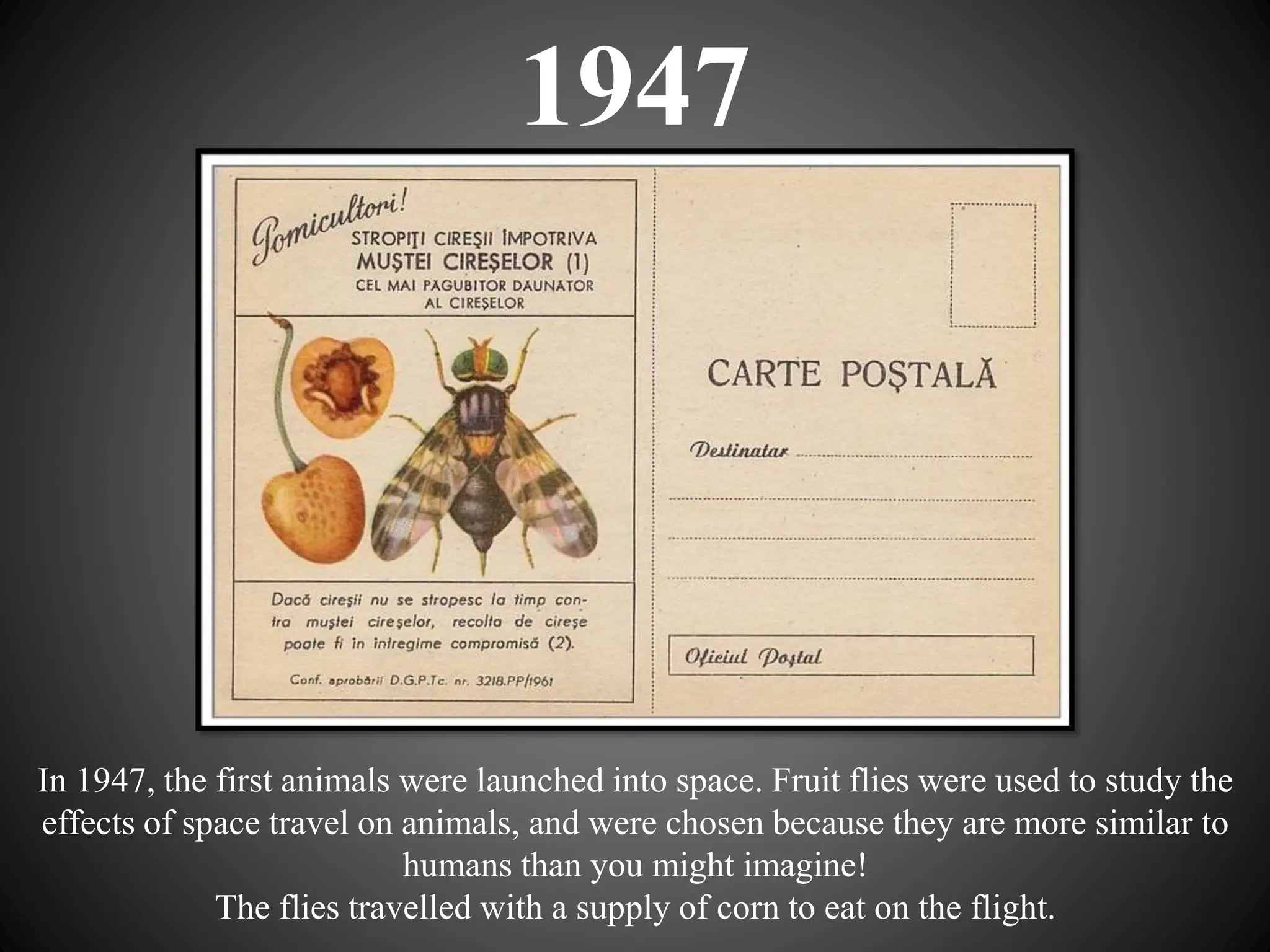 Brief history of Space Exploration PowerPoint | PPTX