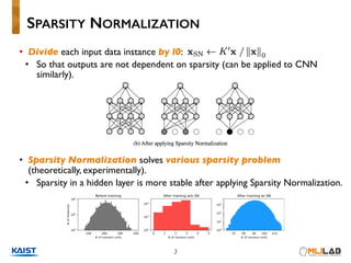 Sparsity Normalization: Stabilizing the Expected Outputs of Deep Networks | PPT