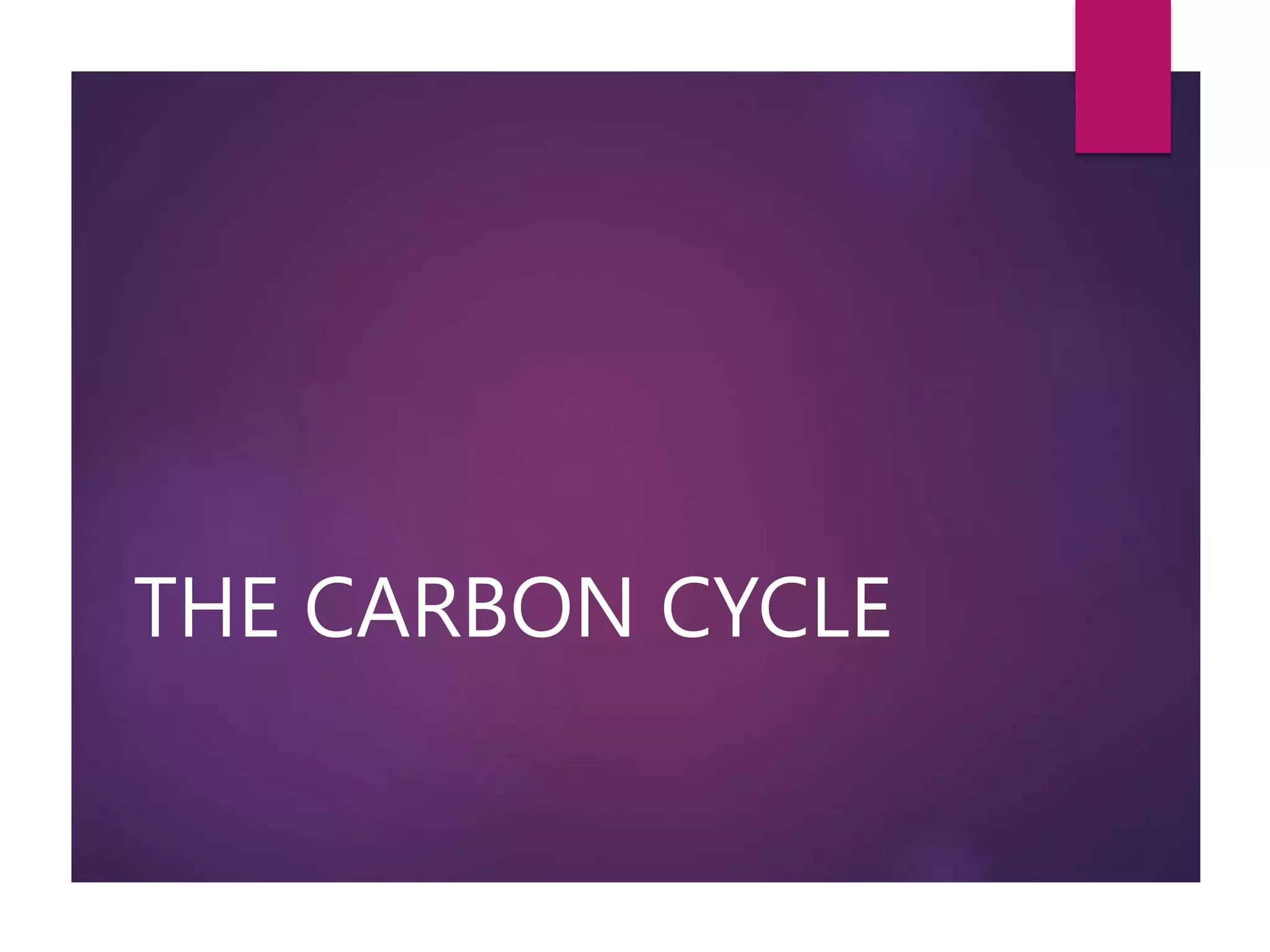 Carbon_Cycle.ppt