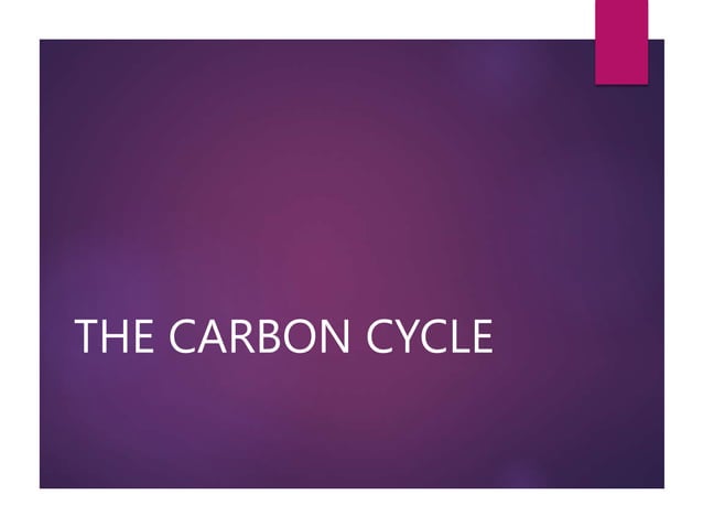 Carbon_Cycle.ppt