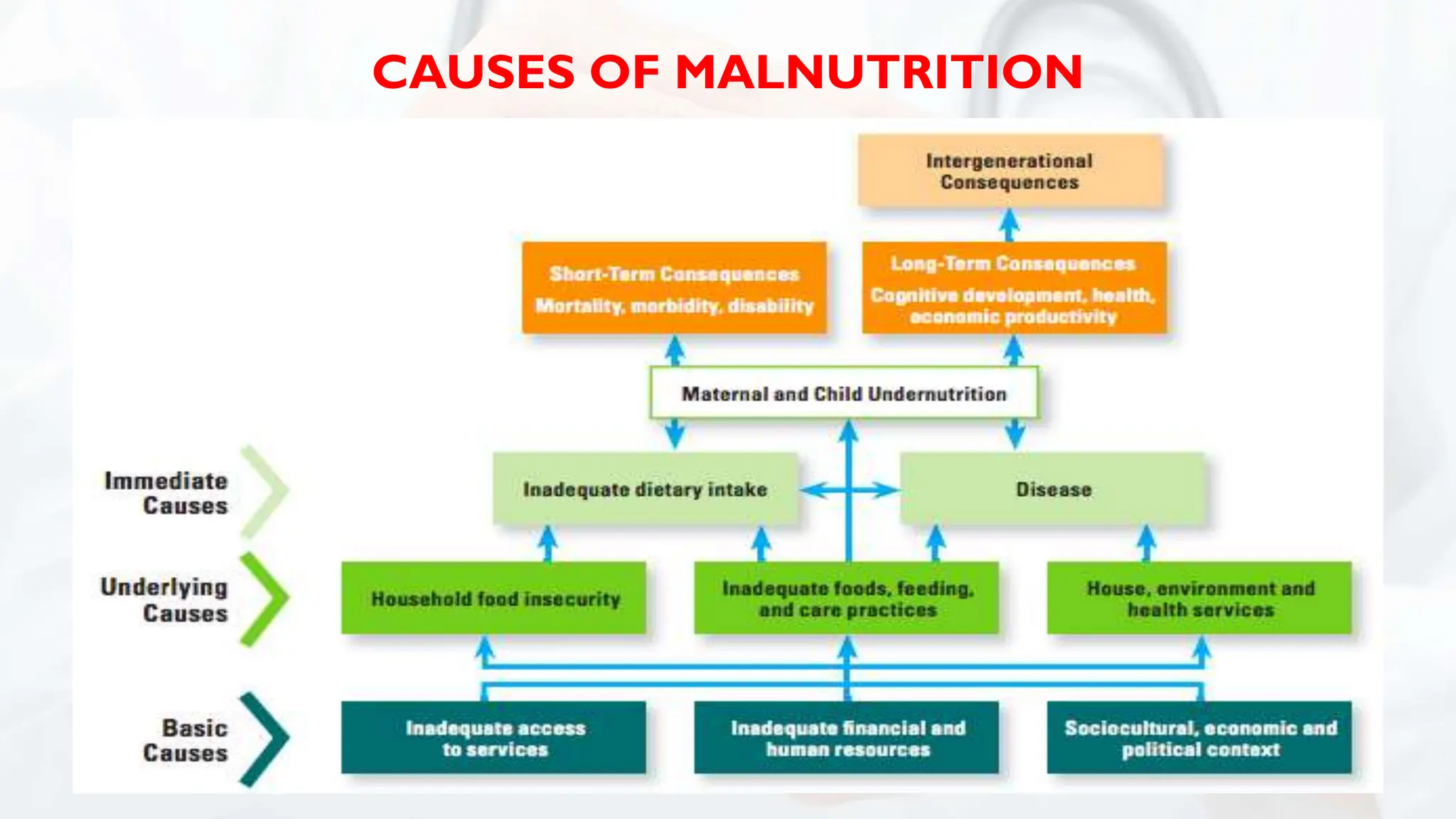 Basics of malnutrition 909001031 presentation.pptx