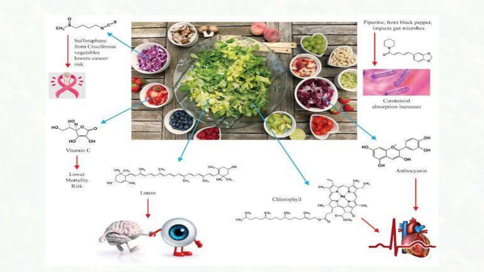 1909001066-1.pptx neuroprotective nutrients | PPTX