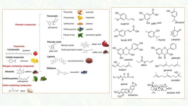 1909001066-1.pptx neuroprotective nutrients | PPTX