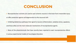 1909001066-1.pptx neuroprotective nutrients | PPTX