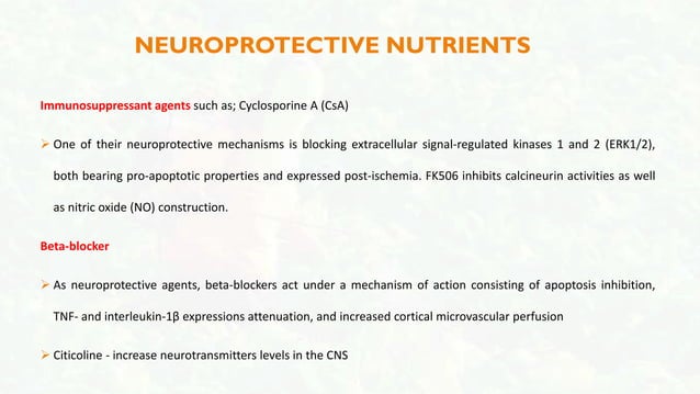 1909001066-1.pptx neuroprotective nutrients | PPTX