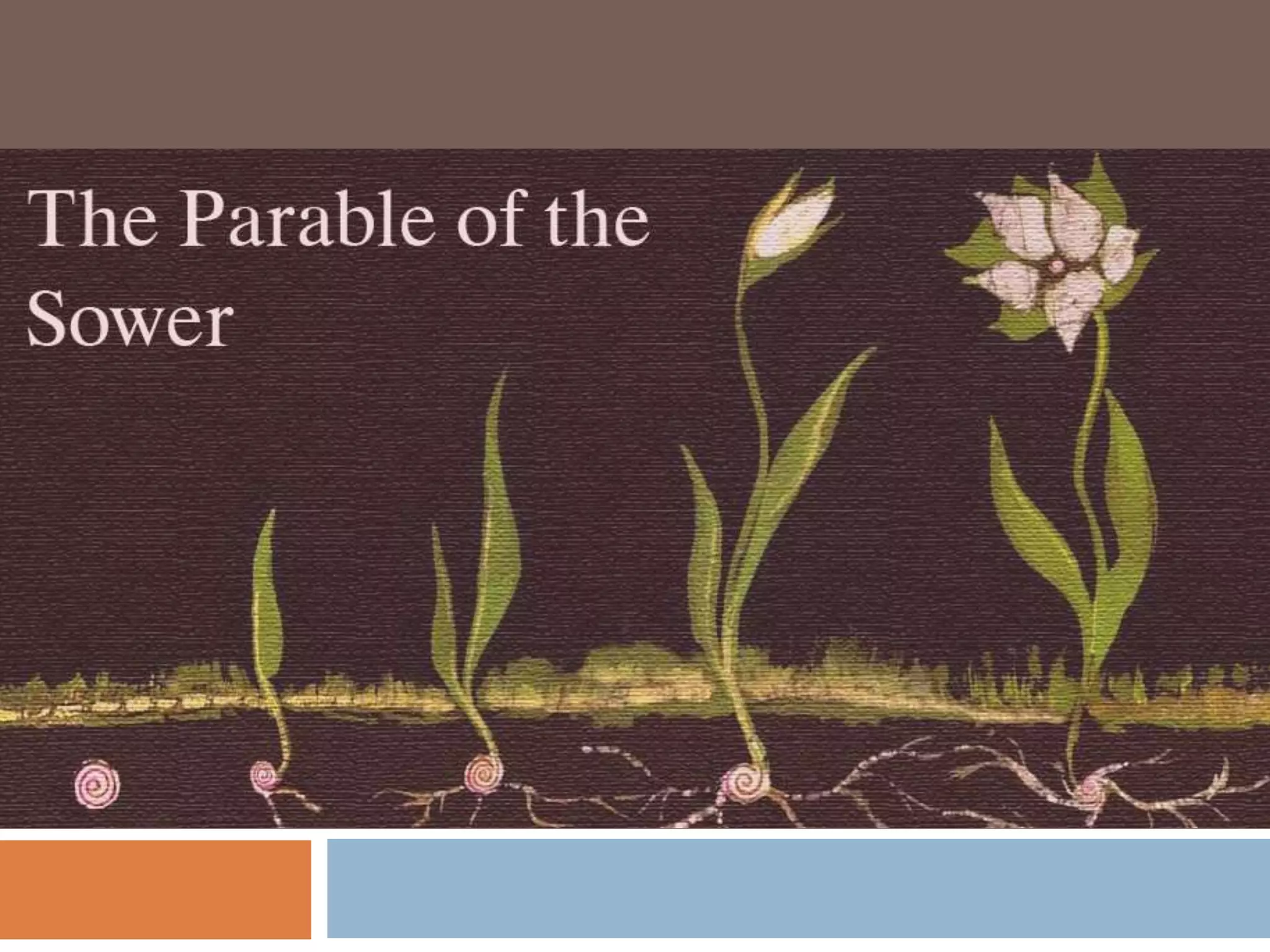 The Parable of the Sower | PPTX