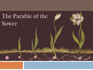 The Parable of the Sower | PPTX