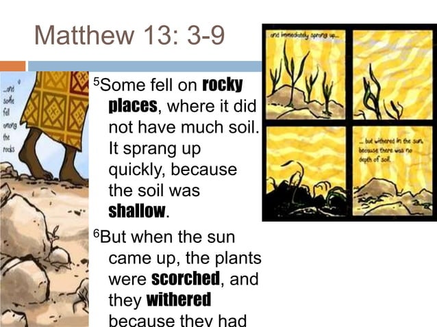 The Parable of the Sower | PPTX | Christianity | Religion & Spirituality
