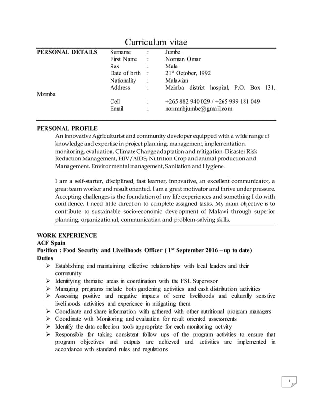 Norman CV with Refference | PDF