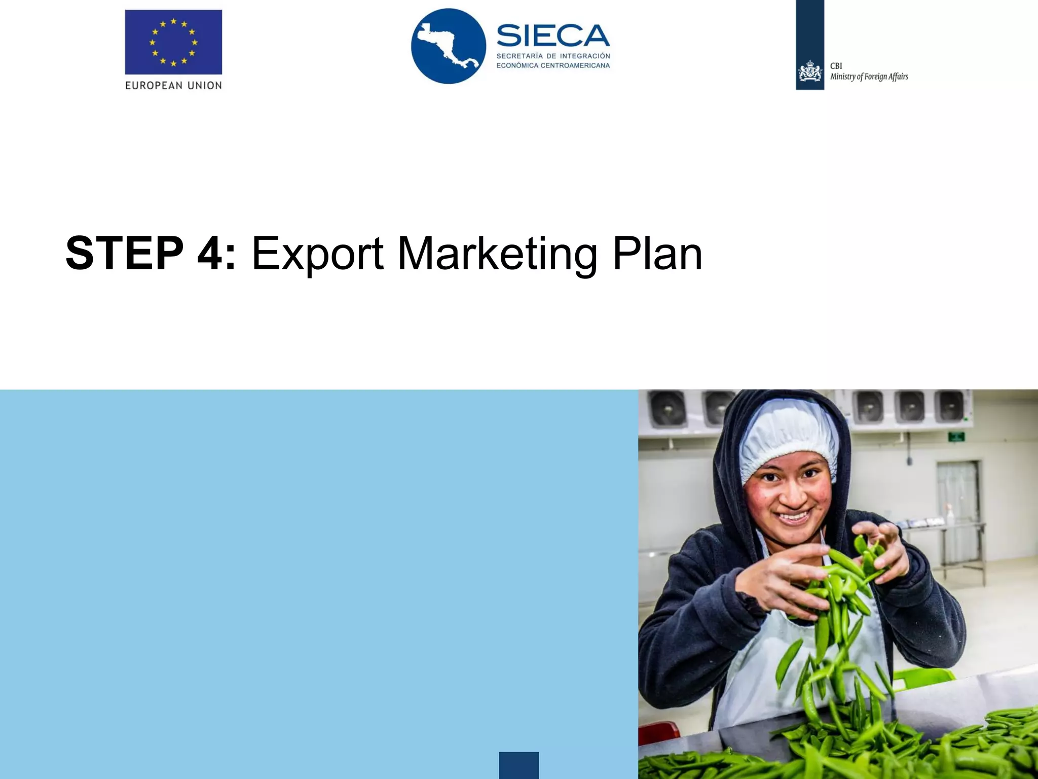 Presentation Export Marketing Planning / Fresh Fruit and Vegetables | PDF