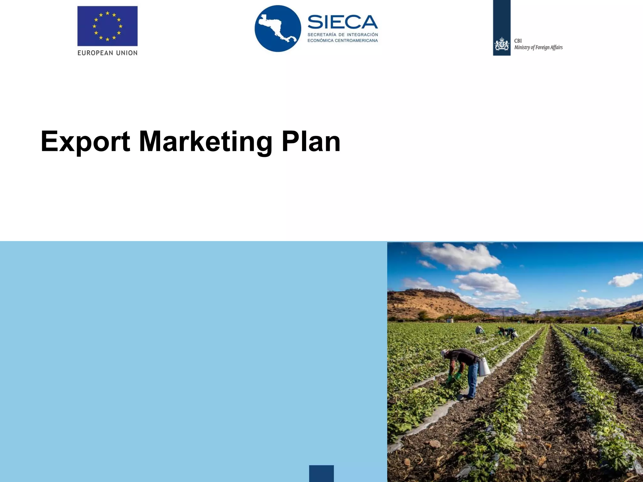 Presentation Export Marketing Planning / Fresh Fruit and Vegetables | PDF
