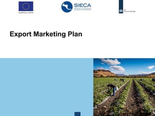 Presentation Export Marketing Planning / Fresh Fruit and Vegetables | PDF