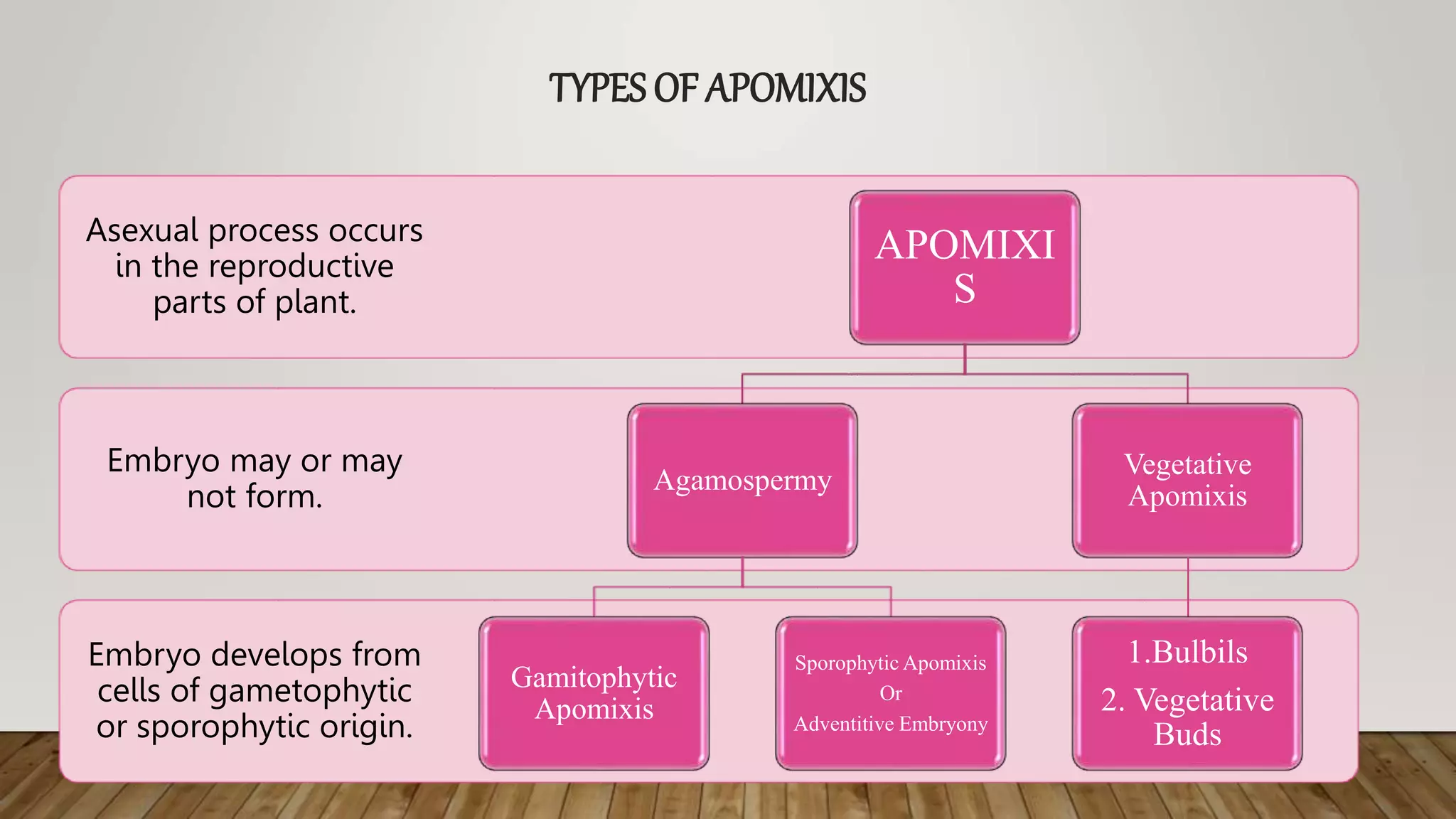 Apomixis.ppt