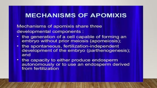 Apomixis.ppt