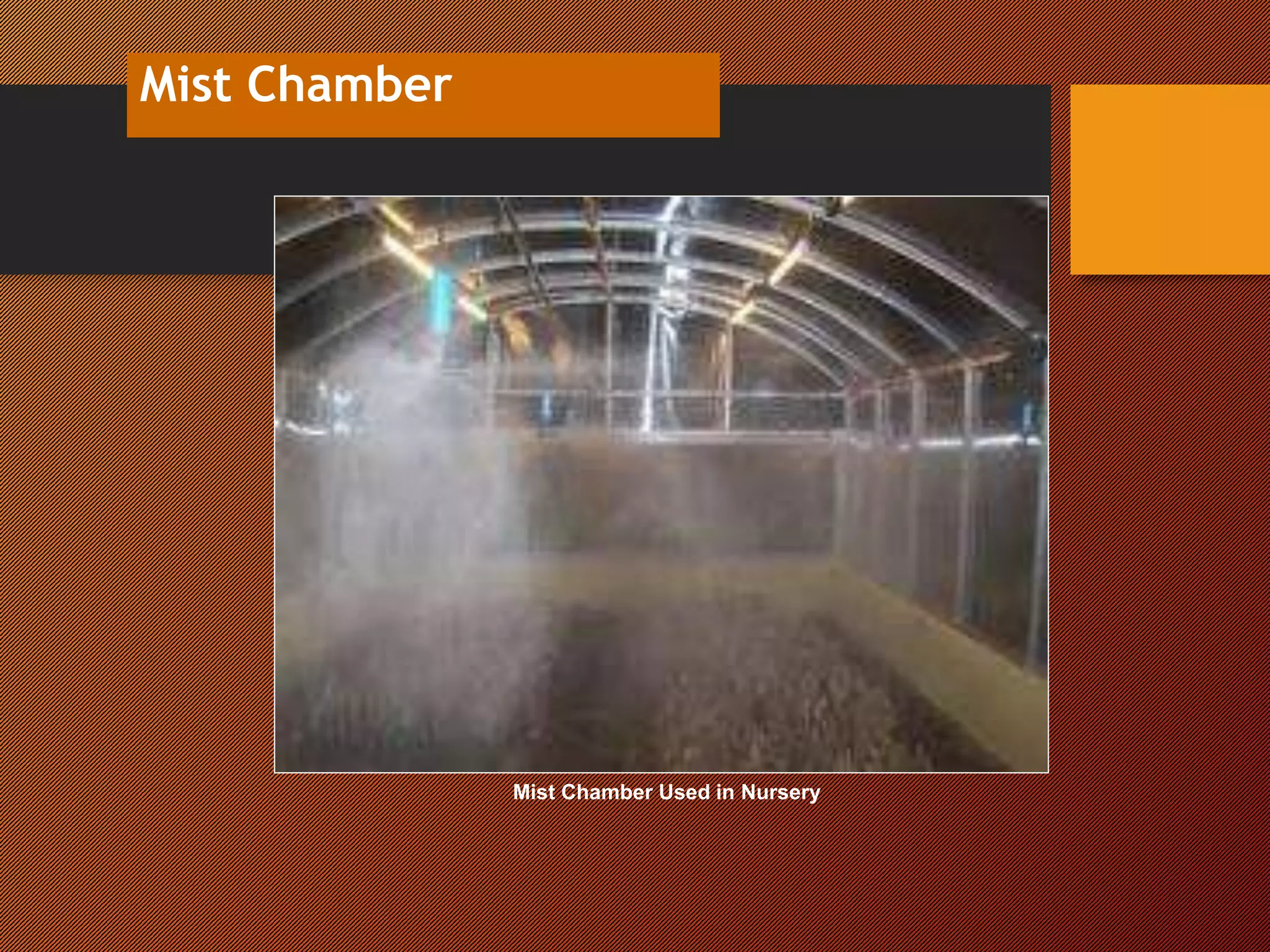 Plant Propagation Structures In Plant Nursery Ppt