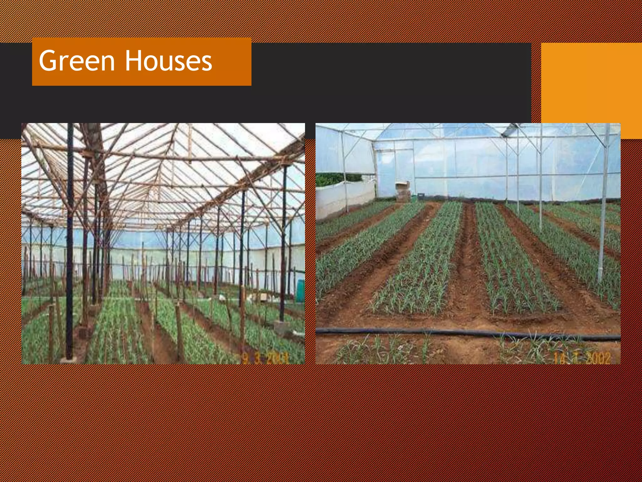 Plant propagation structures in plant nursery.ppt