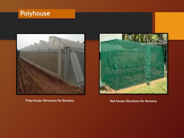 Plant propagation structures in plant nursery.ppt