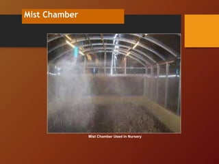 Plant propagation structures in plant nursery.ppt