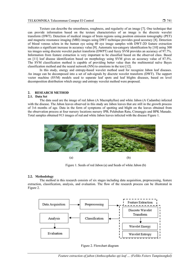 Feature extraction of Jabon (Anthocephalus sp) leaf disease using discrete wavelet transform | PDF