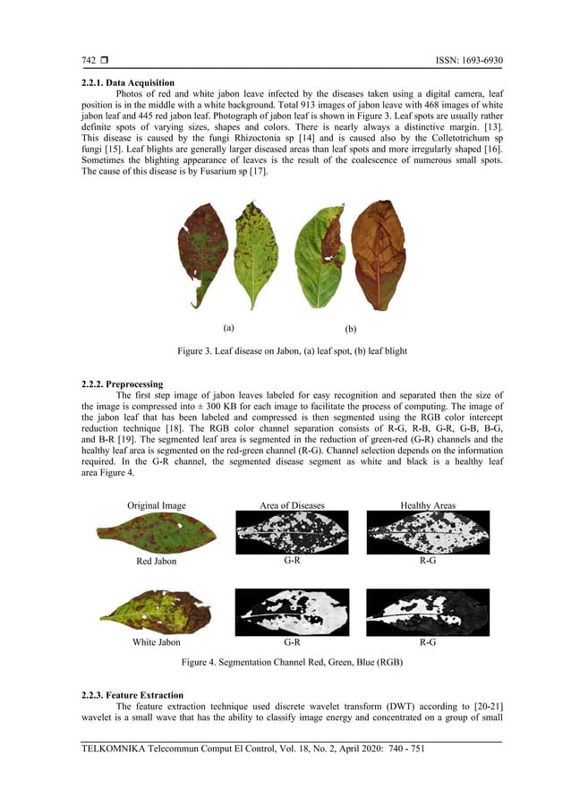 Feature extraction of Jabon (Anthocephalus sp) leaf disease using discrete wavelet transform | PDF
