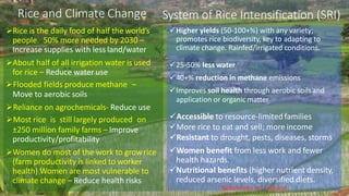 1910 - Integrating Climate Smart Rice Agriculture in Supply Networks ...