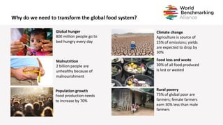 A farmers’ perspective on food system transformation | PPT