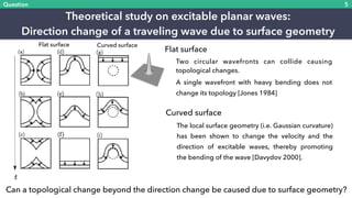 Curved surface geometry-induced topological change of an excitable ...