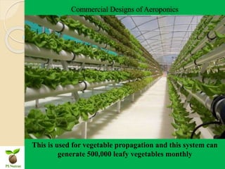 Aeroponic presentation | PPTX