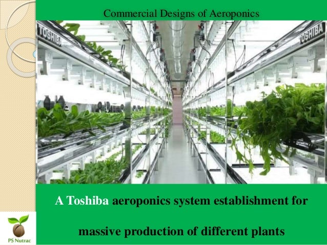 Aeroponic presentation