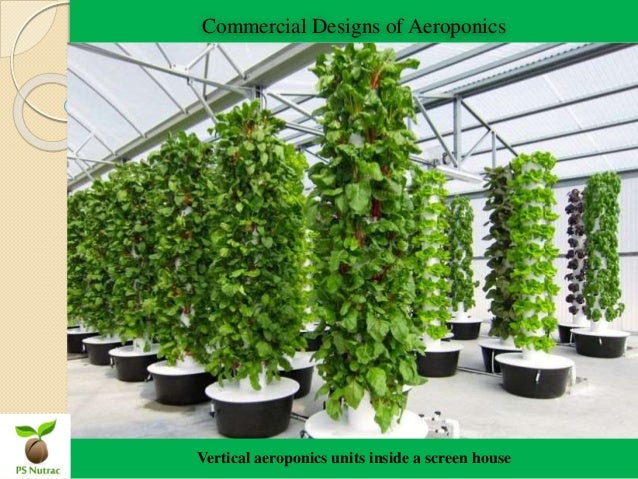 Aeroponic presentation