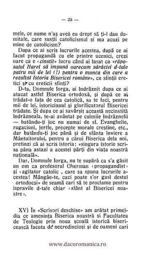 1915 catastrofa domnului n. iorga (uploaded) | PDF