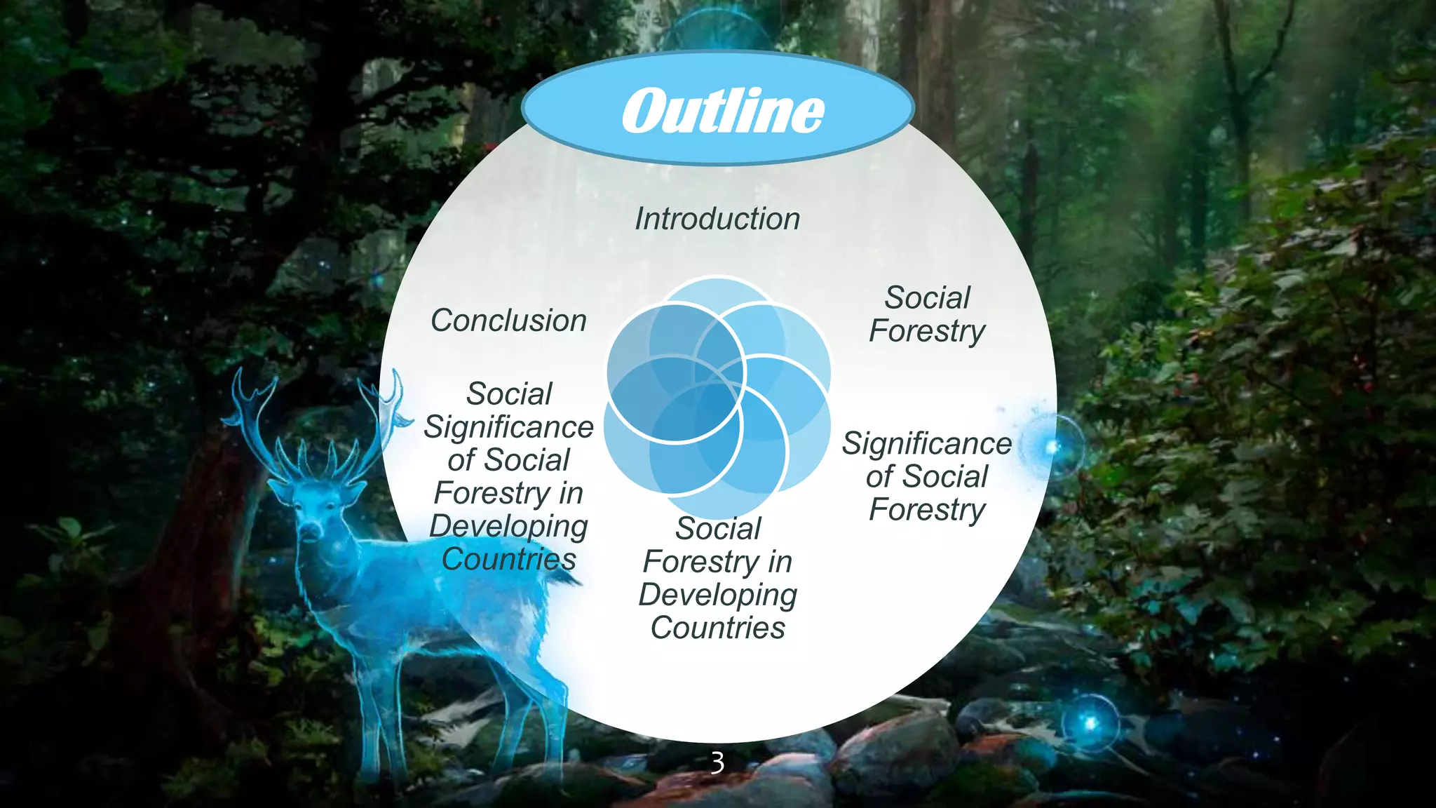 Social Significance of Social Forestry in Developing Countries | PPT
