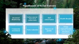 Social Significance of Social Forestry in Developing Countries | PPT