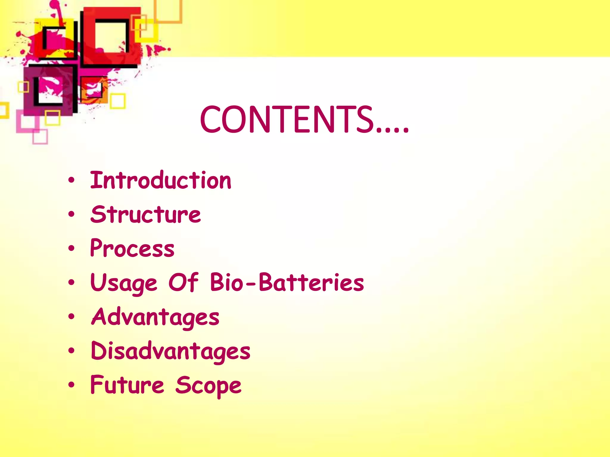 191657373-Bio-Battery.pptx