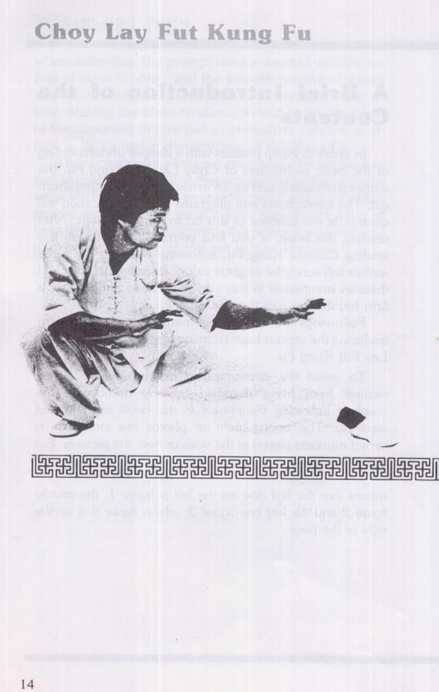 191797355 choy-lay-fut-kung-fu-the-dynamic-art-of-fighting-lee-koon ...