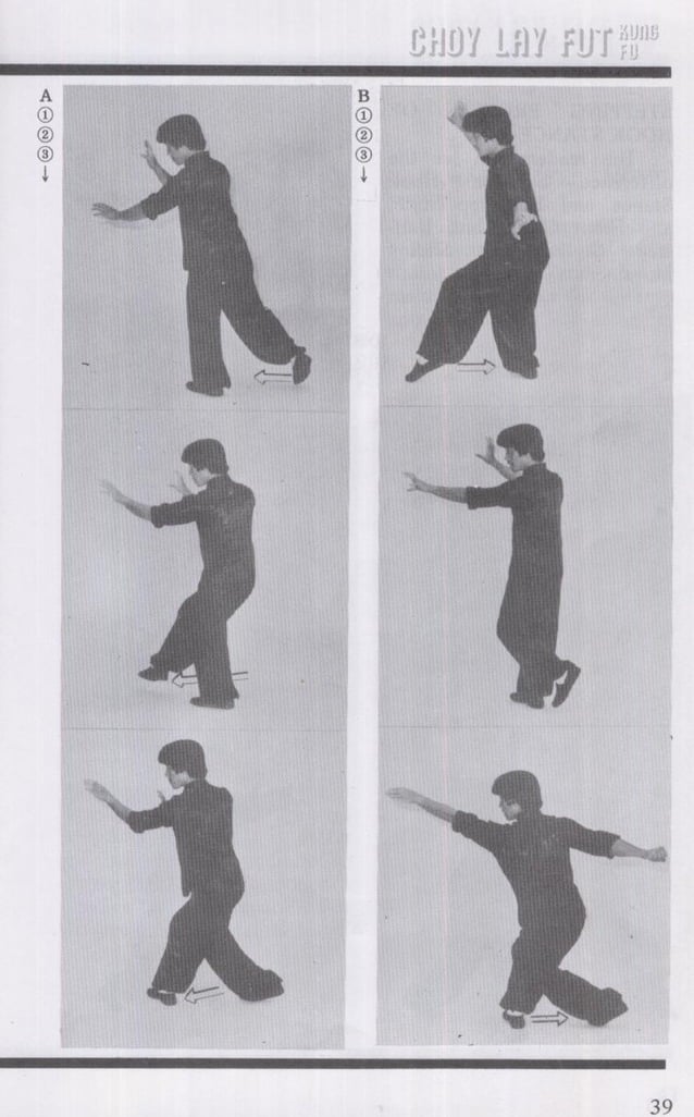 191797355 choy-lay-fut-kung-fu-the-dynamic-art-of-fighting-lee-koon ...