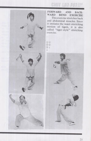 Tigerstyle Kung Fu Techniques