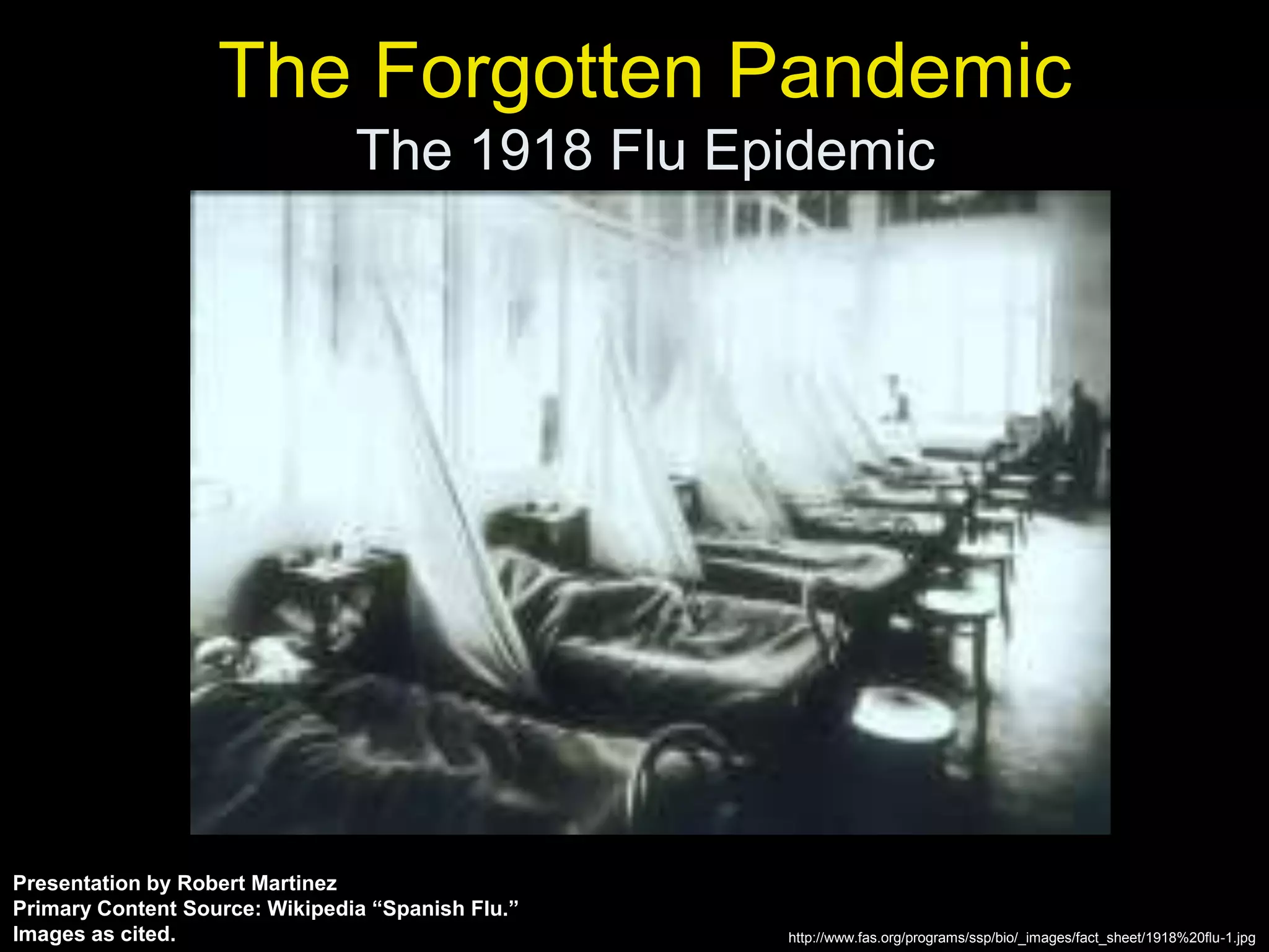 1918 Flu Epidemic | PPT