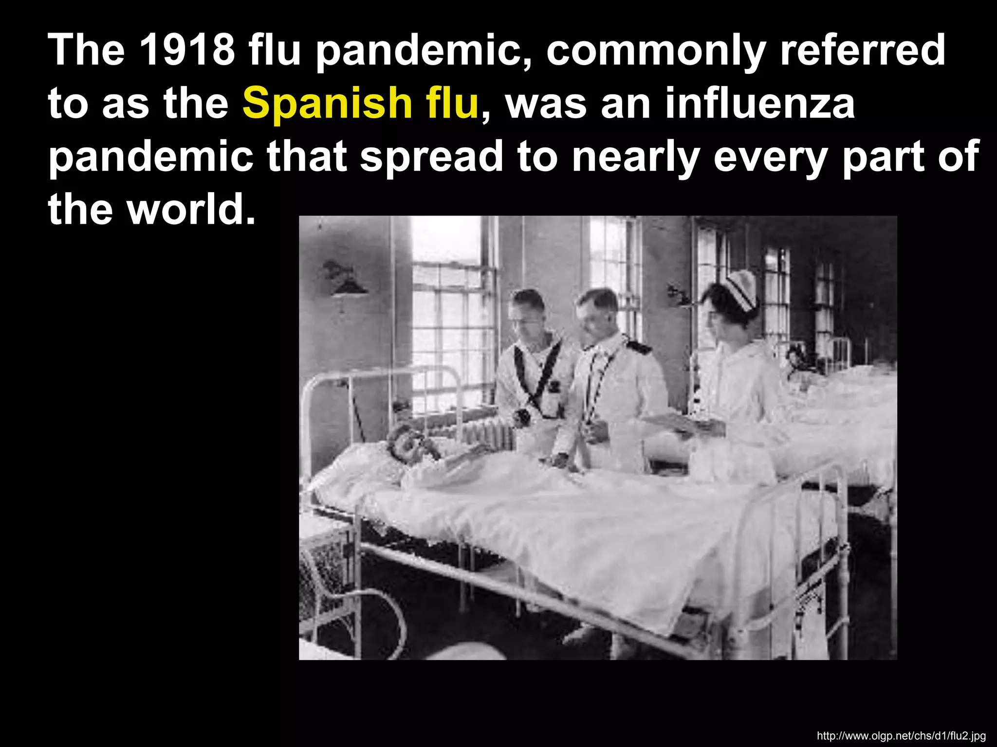 1918 Flu Epidemic | PPT